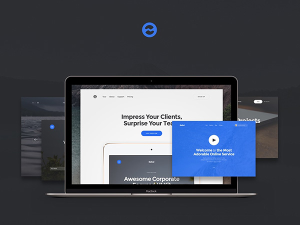 Baikal Startup UI Kit - Free Sample | Theme-UI