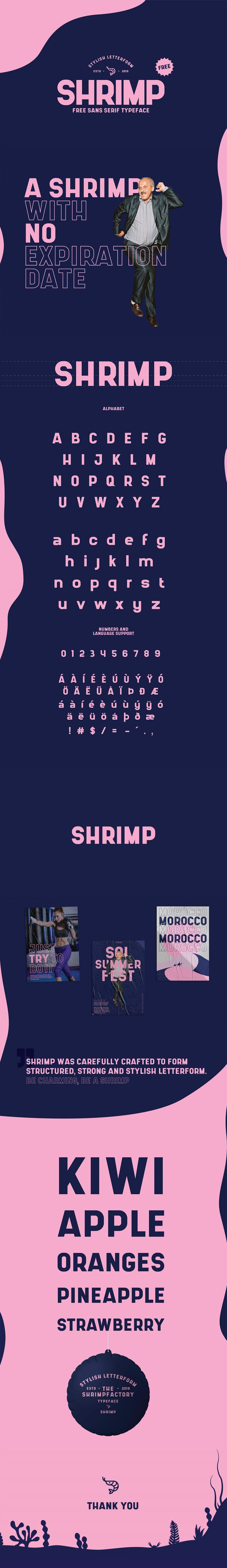 Shrimp — Free Sans Serif Font | Theme-UI